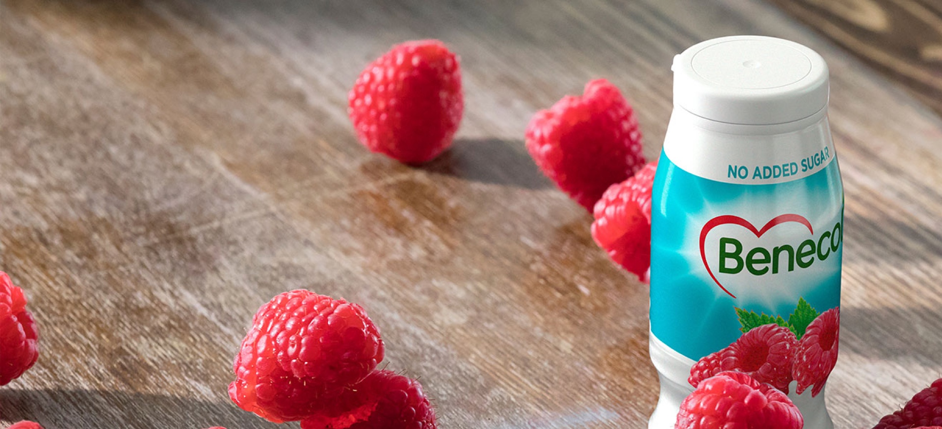 Benecol Healthcare Professional (HCP) - Ireland