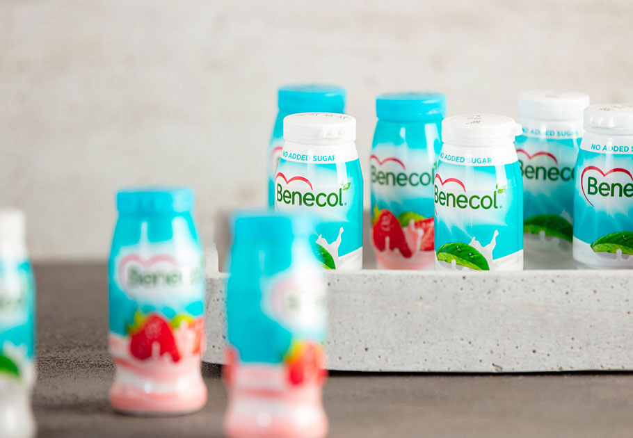 Understanding Cholesterol - Benecol - Ireland